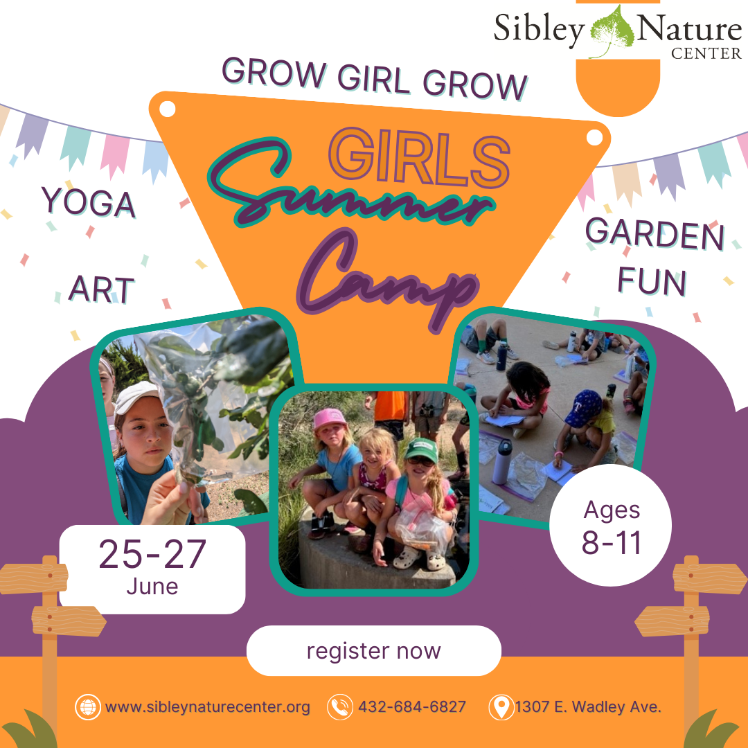 Grow Girl Grow Summer Camp